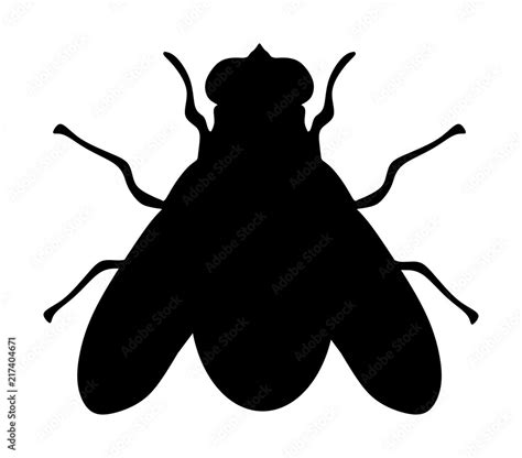 Fly Silhouette