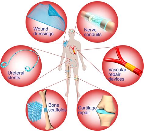 Biodegradable Polymers Examples