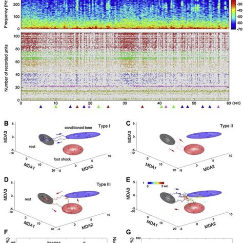 Real Time Fear Memory Traces During Contextual Fear Memory Recall A