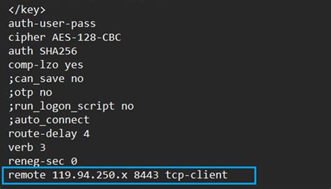 Sophos Firewall How To Configure SSL VPN Remote Access When Sophos Firewall Is Behind A NAT