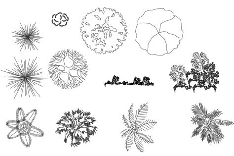 Tree And Plant Top View CAD Blocks DWG File Cadbull