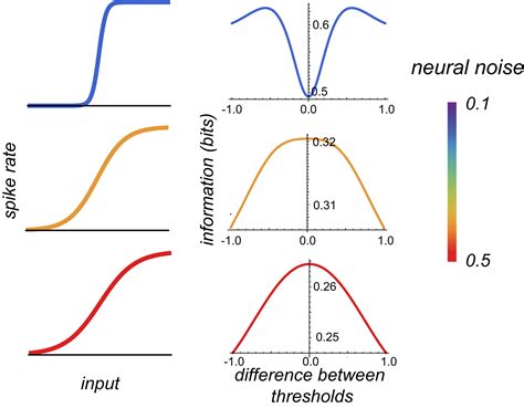 Toward Functional Classification Of Neuronal Types Neuron