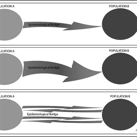 Model Of Transmission Of Infectious Diseases With Varying Levels Of Download Scientific Diagram