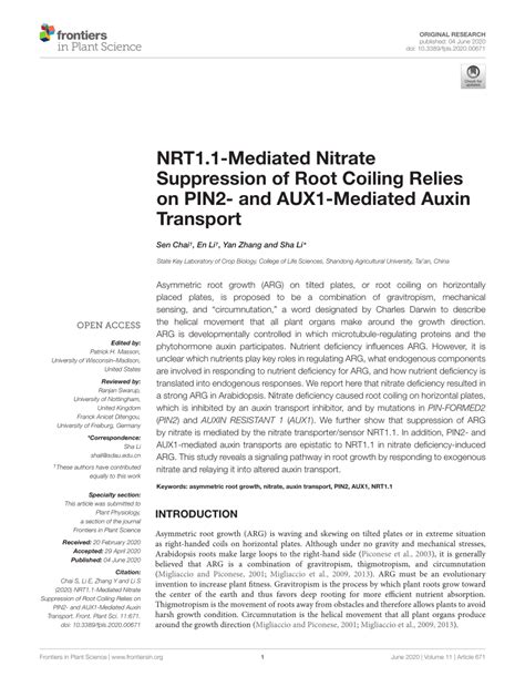 Pdf Nrt1 1 Mediated Nitrate Suppression Of Root Coiling Relies On Pin2 And Aux1 Mediated