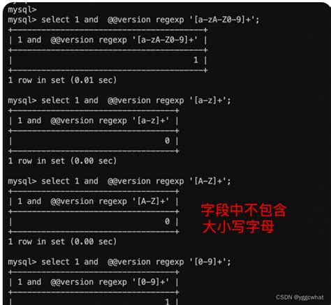 Sql注入绕过(正则盲注绕过)sql注入绕过正则 Csdn博客 Sql注入绕过(正则盲注绕过)sql注入绕过正则 Csdn博客