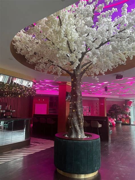 First Look At Gin Ne Sais Quoi As Latest Cardiff Bar Opens Wales Online