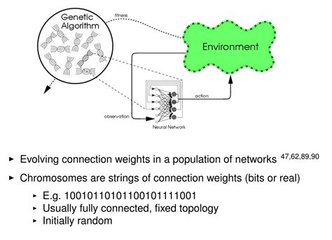 43 Evolution Of Programs Graphs And Networks