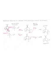 Mechanism- Reduction of Camphor with Sodium Borohydride in Methanol.pdf ...