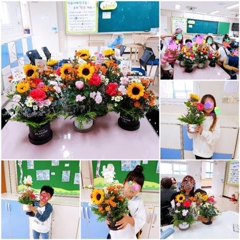미추홀인천 ㆍ부천 힐링원예치료센터 10월 23일 원예수업ㅡ 인천 계양구 소재 ㅇㅅ초등학교 복지교실 센타피스 꽃꽂이 네이버 블로그