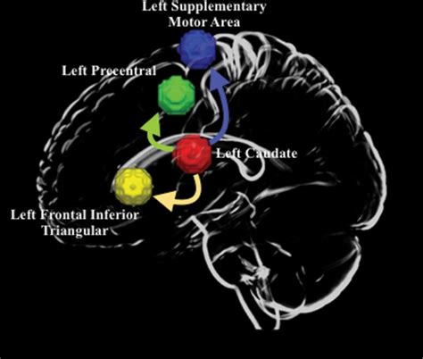 Effect Of Intranasal Oxytocin On Resting State Effective Connectivity