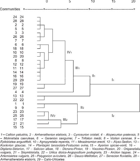 Average Linkage Between Groups Cluster Analysis Dendrogram Of