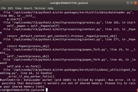 Training A Custom Object Detection Model With YOLOv