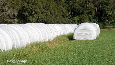 Alfalfa Adds To Bermudagrass Baleage Hay And Forage Magazine