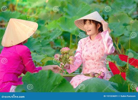 Vietnamese Women Are Collecting The Lotus Stock Image Image Of Hands