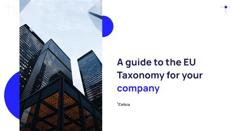 Relationship Between The Sfdr And The Eu Taxonomy Celsia