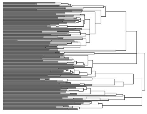 The Bayesian Skyline Plot