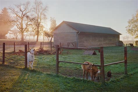 Fuji Gw690iii Kodak Portra 400 Ranalog