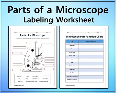 Parts Of A Microscope Labeling And Functions Worksheet Science Editable