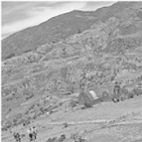 Synthetic Nir Rgb Paired Dataset Kaggle