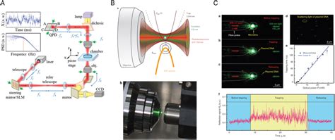 Examples Of Optical Forces Exerted On A Cell Or Particle A Download Scientific Diagram