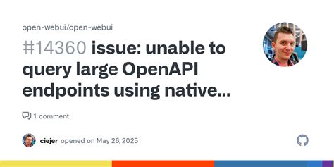 Issue Unable To Query Large Openapi Endpoints Using Native Function Calling · Issue 14360