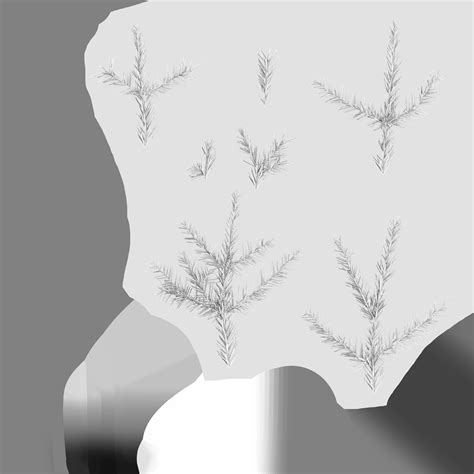 Fir Tree 01 Model • Poly Haven Fir Tree 01 Model • Poly Haven