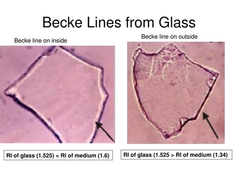 Ppt Chapter 3 And 4 Glass Evidence Powerpoint Presentation Free