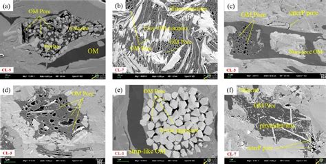 Sem Images Showing Characteristics Of Pores Associated With Om In Download Scientific Diagram