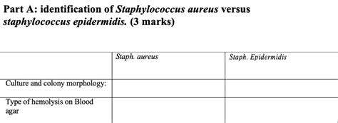 Staphylococcus Aureus Morphology Identification