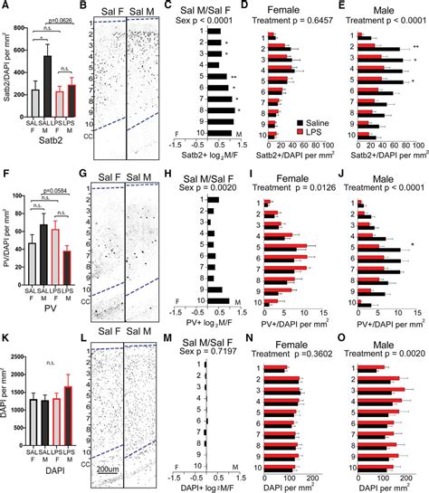 “females Are Not Just ‘protected Males” Sex Specific Vulnerabilities