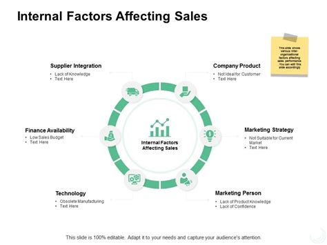 Internal Factors Affecting Sales Ppt Powerpoint Presentation Portfolio Portrait