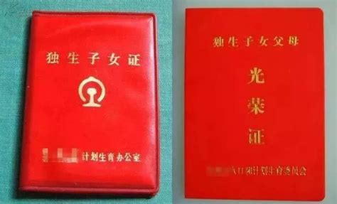 广东独生子女真实独白：不敢病、不敢远嫁、甚至不敢死凤凰网