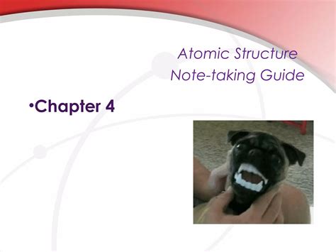 Chapter 4 Notes Ppt