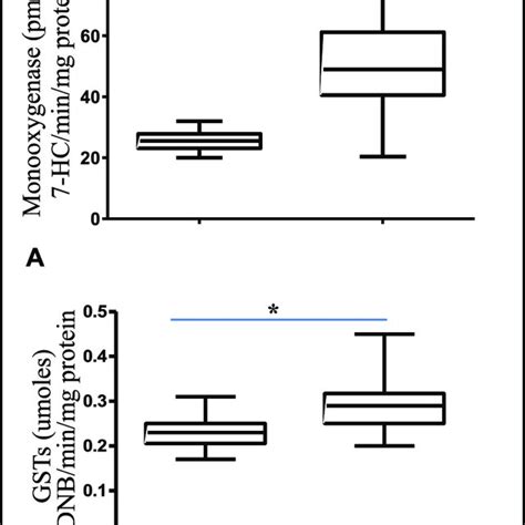 Morphological Characteristics Of The Eggs Of An Sinensis And An Download Scientific Diagram