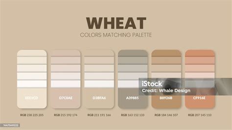 Wheat 색상 테마 컬렉션의 색상 팔레트 색 구성표 또는 색 차트 서식 파일입니다 Rgb Hsl 및 Hex 코드의 색상 조합 세트 예술 패션 홈 디자인 또는 웹 디자인을