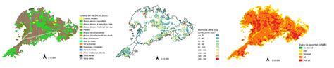 Ia 53 Advanced Vegetation Characterization Based On Earth Observation