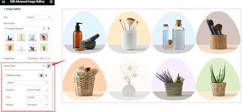 How To Use The Advanced Image Gallery Widget