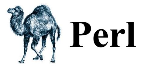 Perl คืออะไร เพิร์ล เป็นภาษาโปรแกรมแบบไดนามิกชนิดหนึ่ง Saixiii