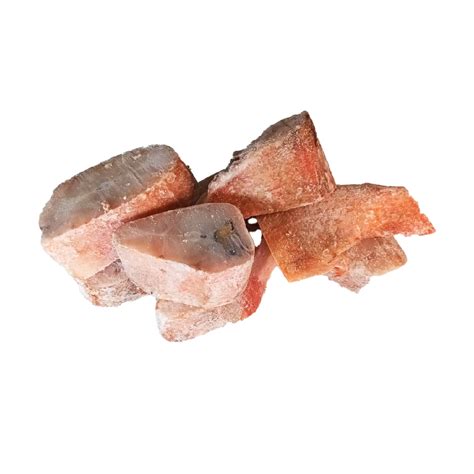 Frozen Red Bream Abiglobal Foods Online Ltd