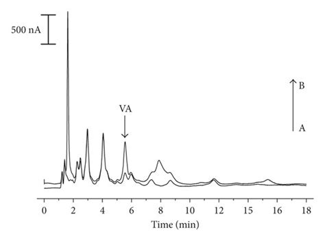Chromatograms Acquired For A Sugarcane Vinasse Sample 1 10