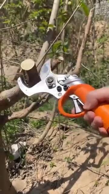 Power Scissors For Gardening [video] [video] Garden Tasks Garden