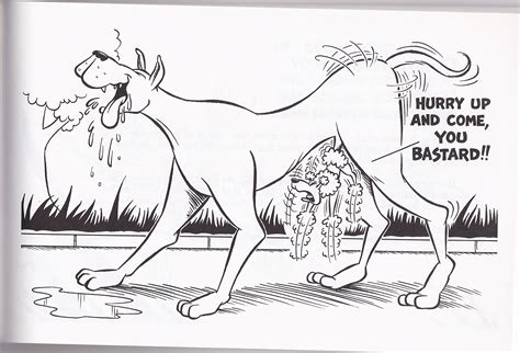 How The Animals Do It Animated Animals Adult Humor