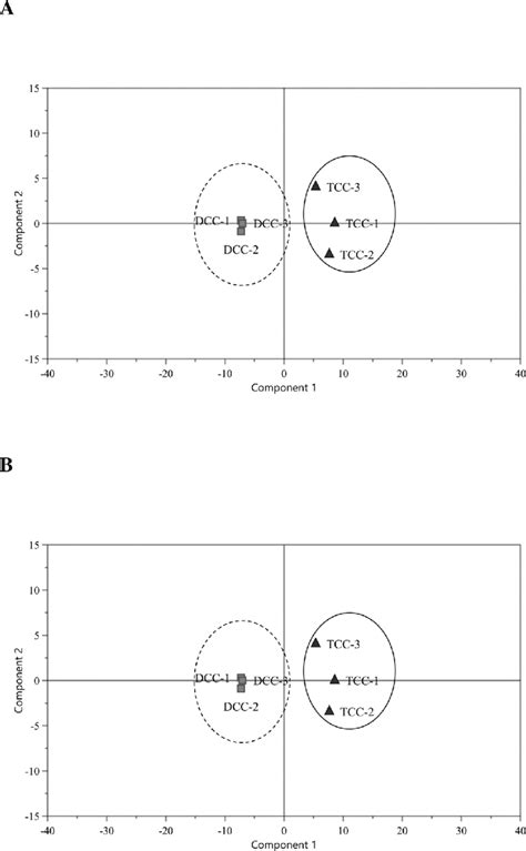 Partial Least Squares Discrimination Analysis Pls Da Of The Relative Download Scientific