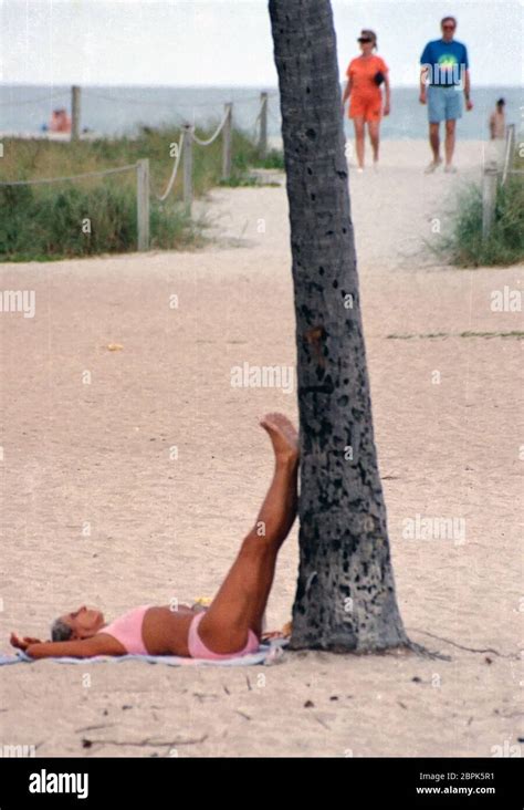 Swimsuit Palm Tree Hi Res Stock Photography And Images Alamy