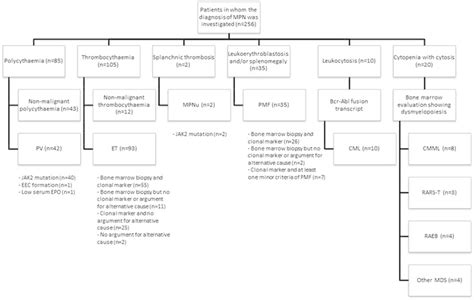 Flow Chart Of Patients Investigated For A Myeloproliferative Neoplasm