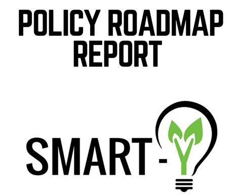 Smart Y Policy Roadmap Report Step