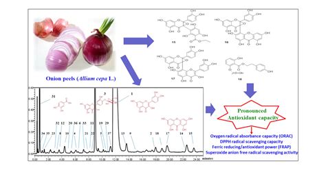 Antioxidant Chemical Tests At Alex Cruz Blog