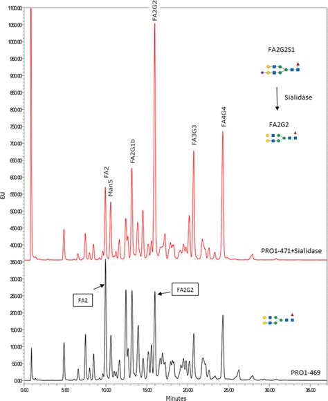 comparison of hilic uplc fld chromatograms with no offset on the x