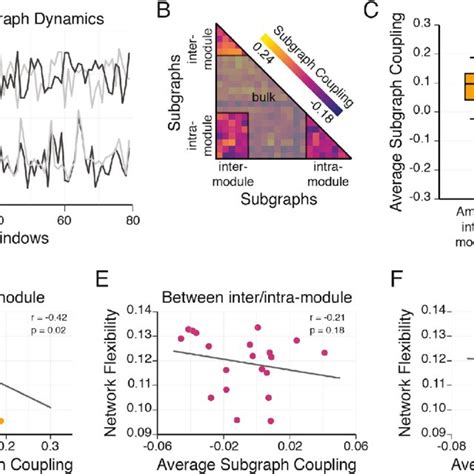 Subgraphs Of Dynamic Functional Brain Networks A We Obtained Download Scientific Diagram