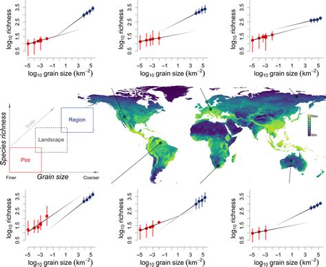 Macroecology Of Plant Diversity Across Spatial Scales Puglielli